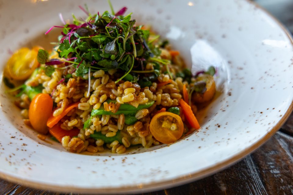 Introducing the New Summer Menu at The Freestone Lodge